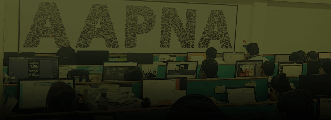Journey of AAPNA Infotech