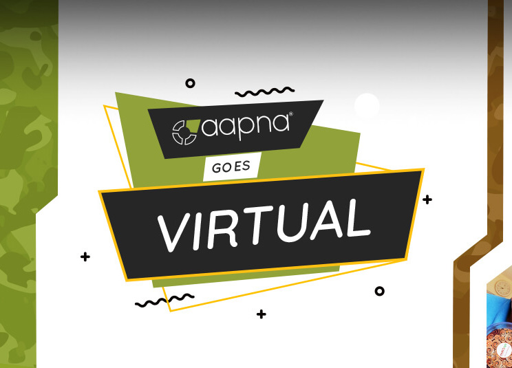 Permanent Work from Home IT Company in India - AAPNA Infotech